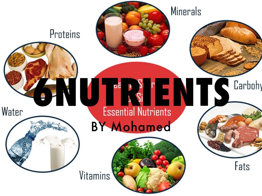 The 6 Different Nutrition By Mohamed Mohamud The 6 Different Nutrition By Mohamed Mohamud
